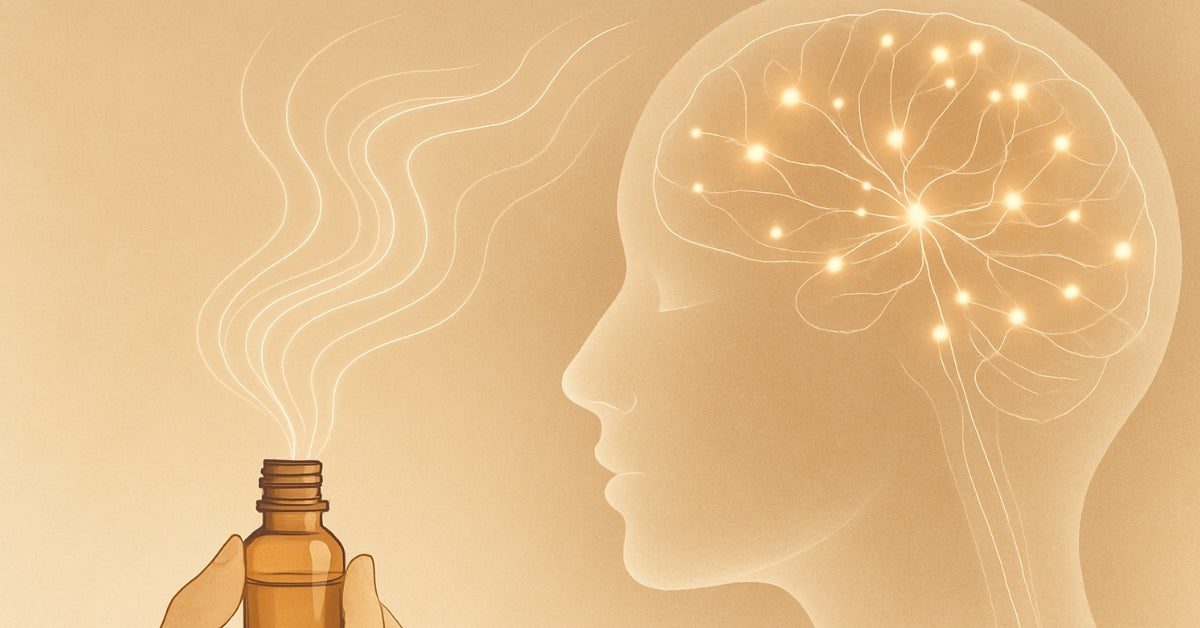 The Science Behind Scent: How Aromatherapy Actually Works in Your Brai